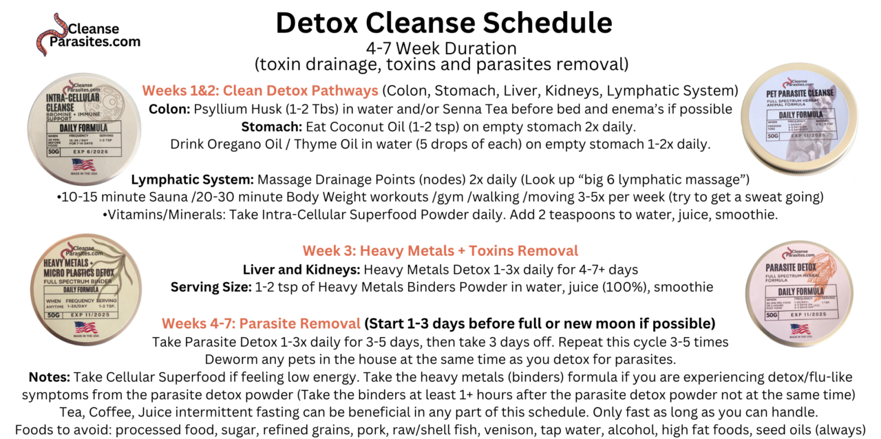 Detox Schedules - CleanseParasites.com - Parasite Cleanse, Heavy Metal ...
